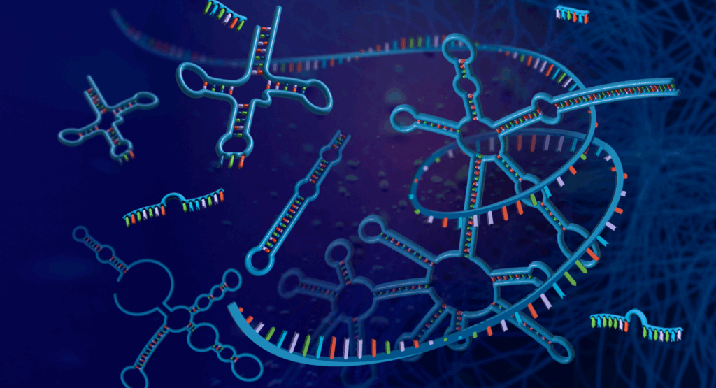 Hertz Fellow Launches Biostate AI, Coupling RNA Sequencing and Health ...